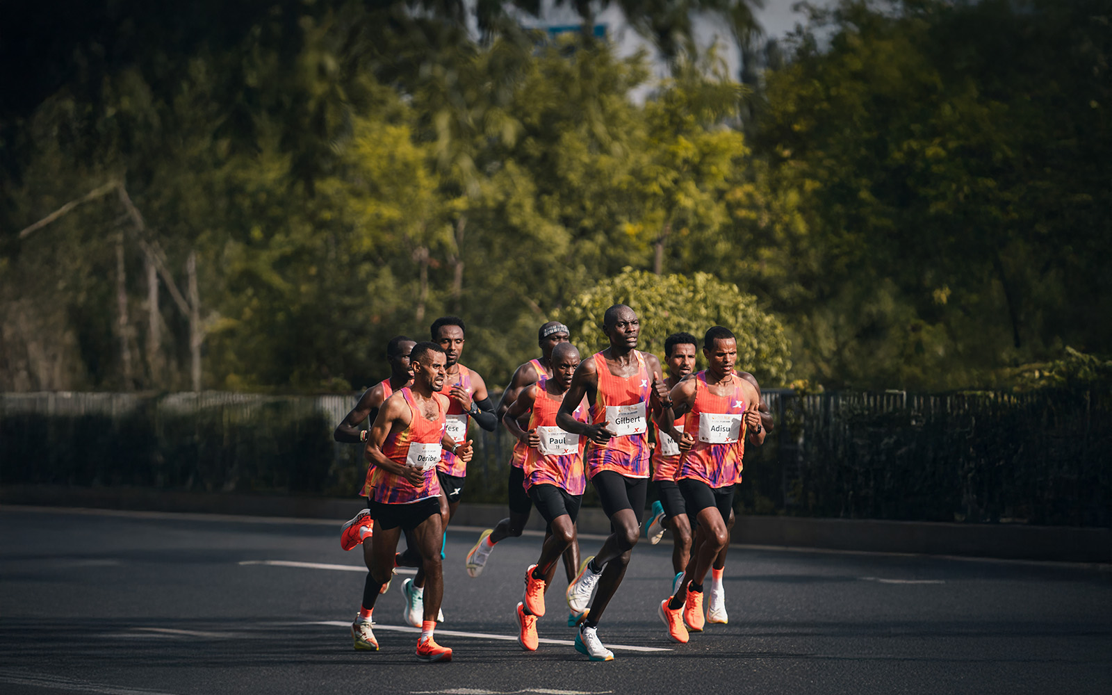 Warnings and encouragement in the race of faith - Faith Roots