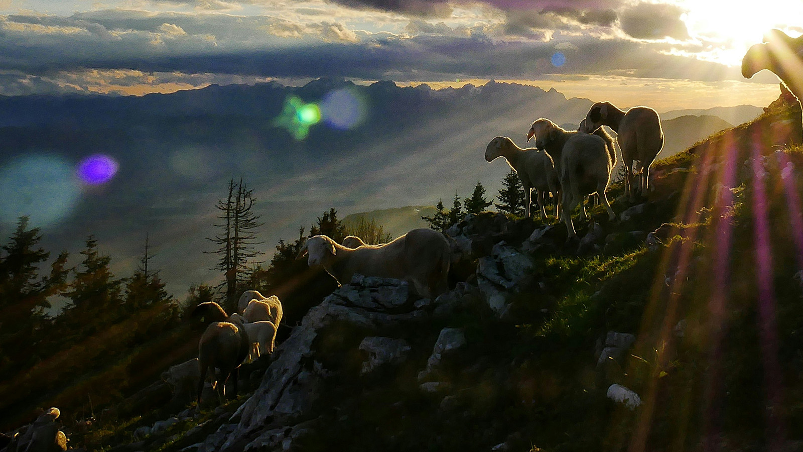 Disciples in New wine skin - Faith Roots